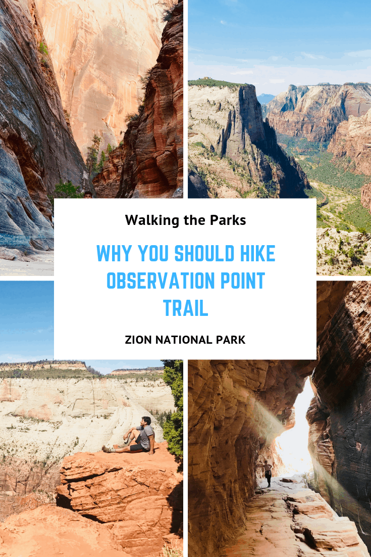 Why You Should Hike Zion Observation Point Trail