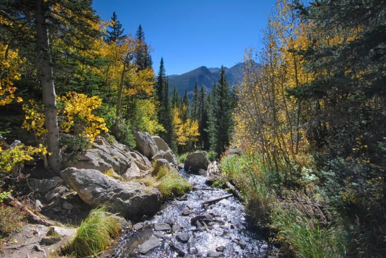 7 Things to Do: Fall in Rocky Mountain National Park