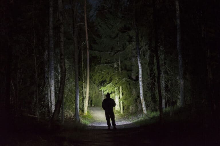 Best Flashlights for Hiking and Backpacking: Don't be Left in the Dark!