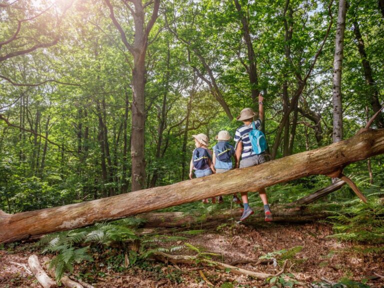 Hiking with Children: 32 Tips for the Perfect Hike with Kids