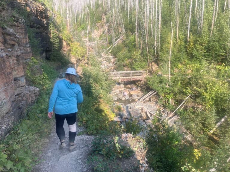 Highline Trail Glacier National Park: A Detailed Hiking Guide