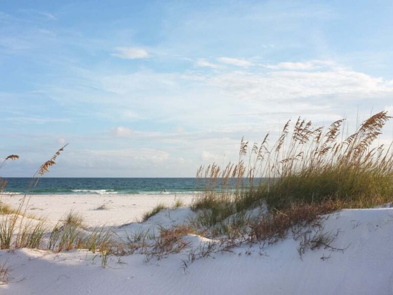 11 Must-Visit Florida National Parks for Nature Lovers