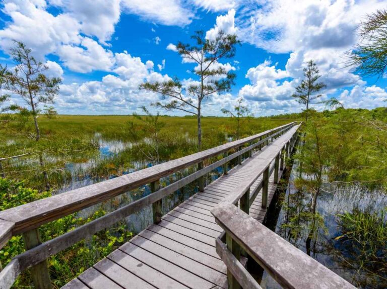 Everglades National Park Itinerary: Explore the Wild!