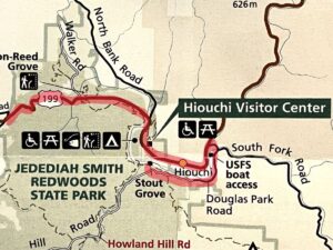 Guide to Stout Grove Trail: The Best Place to Explore the Giants