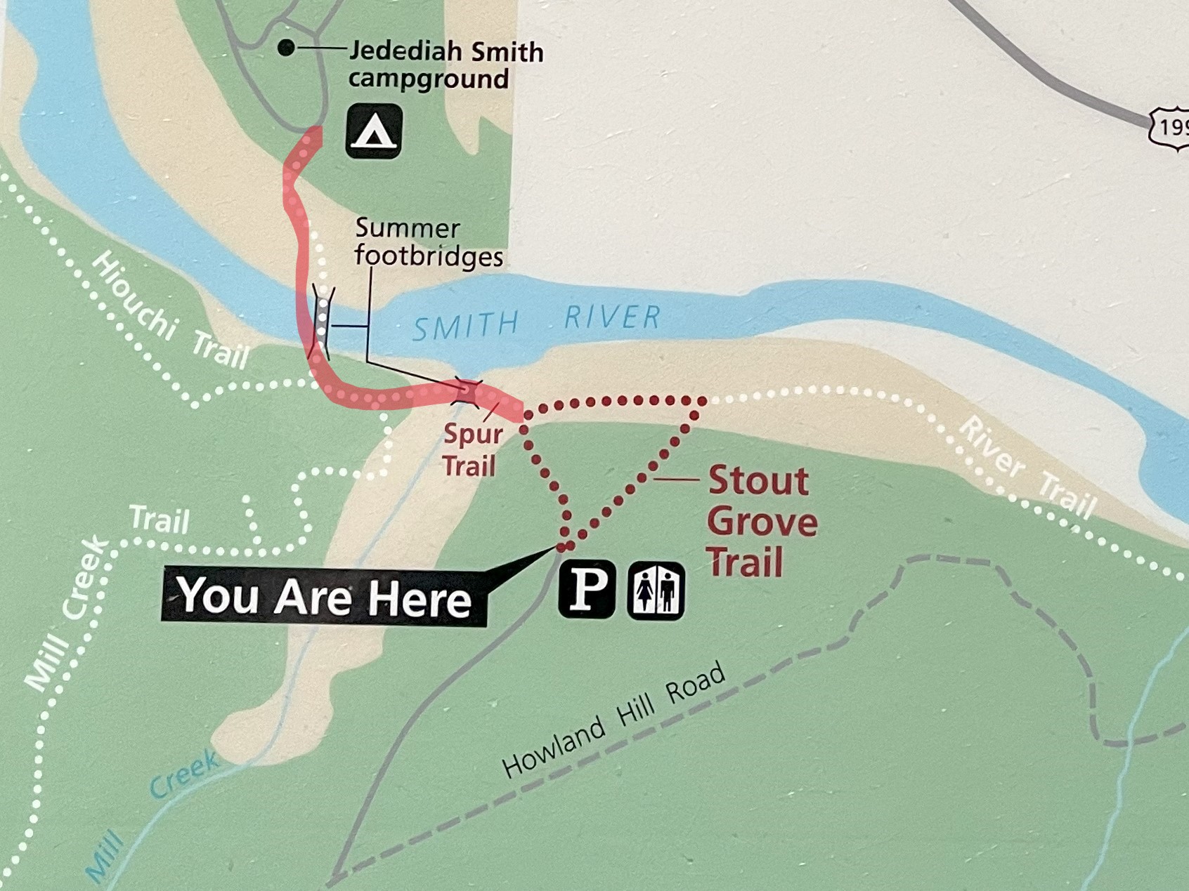 Guide to Stout Grove Trail: The Best Place to Explore the Giants