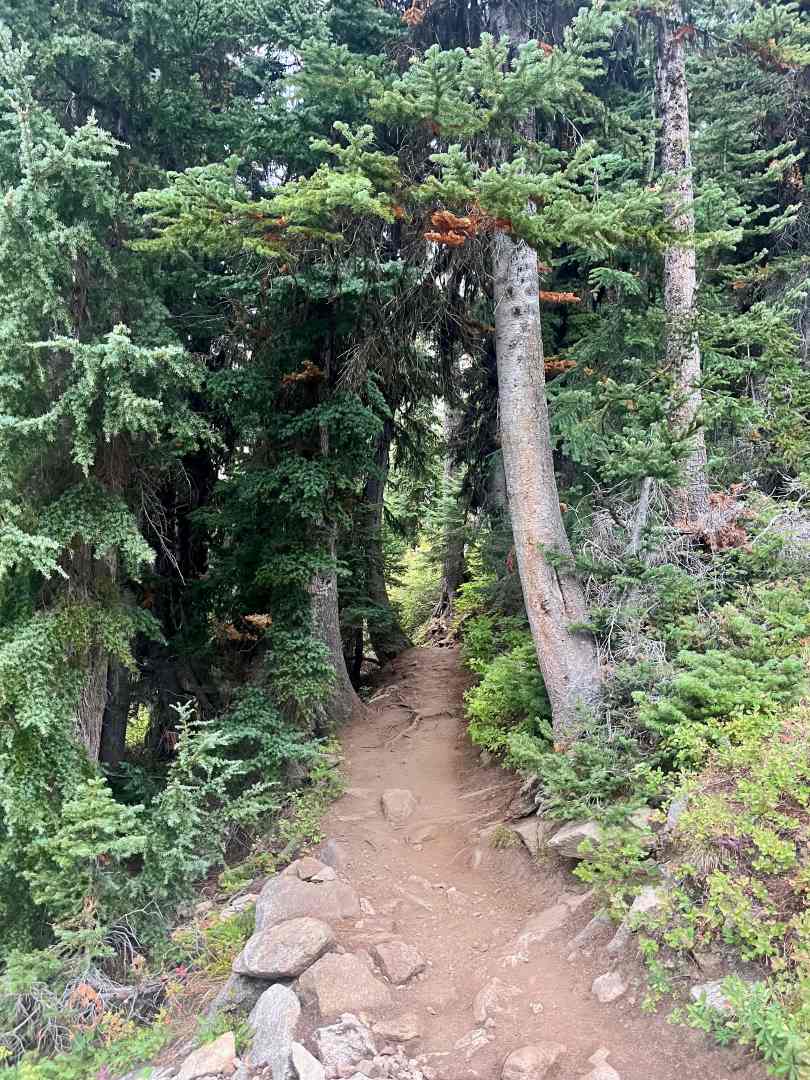 Hiking to Blue Lake: North Cascades National Park